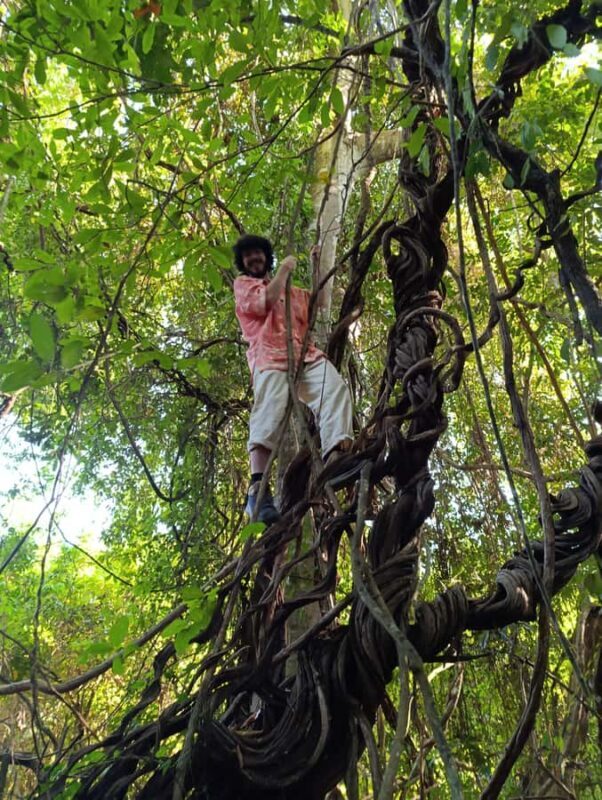 Bali: West Bali Rainforest Guided Trekking Tour - Key Points