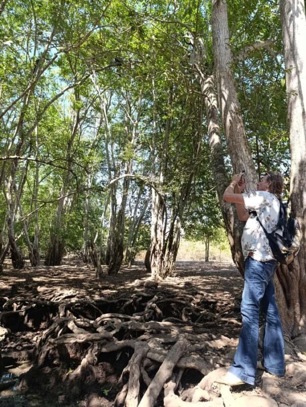 Bali: West Bali Rainforest Guided Trekking Tour - A Genuine Look at the West Bali Rainforest Trek