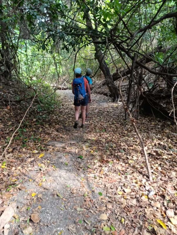 Bali: West Bali Rainforest Guided Trekking Tour - Who Will Love This Experience?