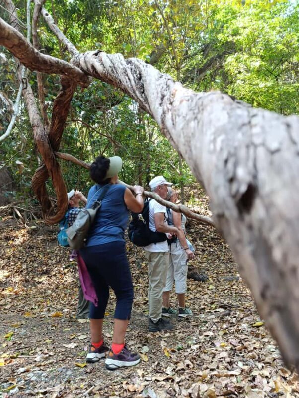 Bali: West Bali Rainforest Guided Trekking Tour - FAQ