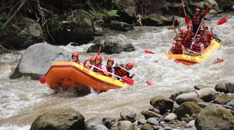 Bali: White Water Rafting and ATV Adventure with Lunch - An Overview of the Experience