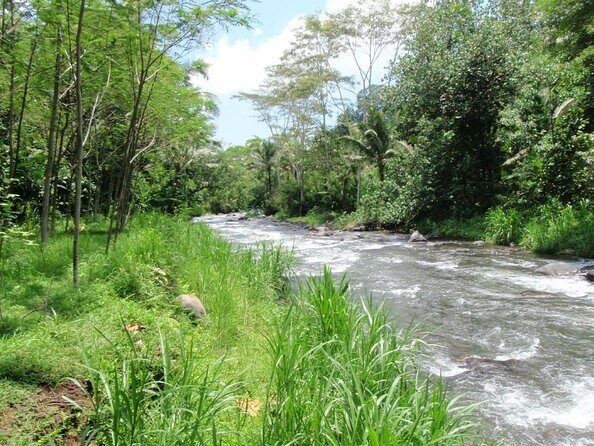 Bali White Water Rafting at Telaga Waja River - Bali White Water Rafting at Telaga Waja River: An In-Depth Review