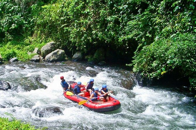 Bali White Water Rafting at Telaga Waja River - The Sum Up