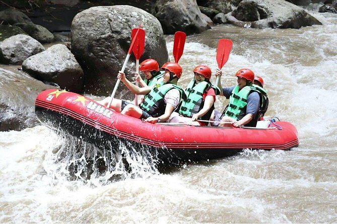 Bali White Water Rafting - Infinity - Who Should Book This Tour?