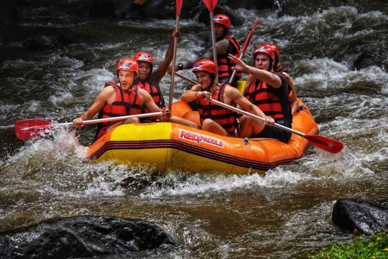 Bali: White Water Rafting, Lunch and Private Pickup - Who Will Love This Tour?