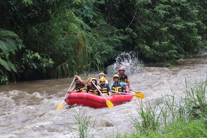 Bali White Water Rafting - Surya Bintang - Who Should Consider This Tour?