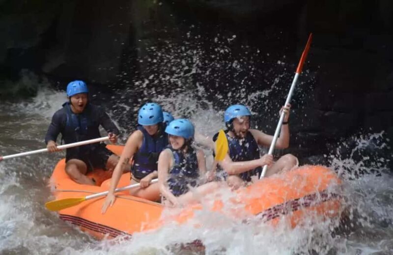 Bali White Water Rafting With All Inclusive - What Travelers Say