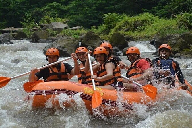 Bali White Water Rafting with Lunch and Private Transfer - Key Points