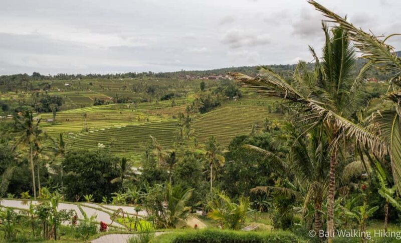 Bali: Wonderland Exotic Nature Tour - The Sum Up