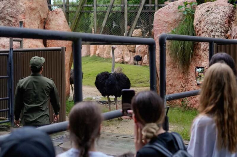 Bali Zoo: Behind Closed Doors Afternoon Safari Guided Tour - Key Points