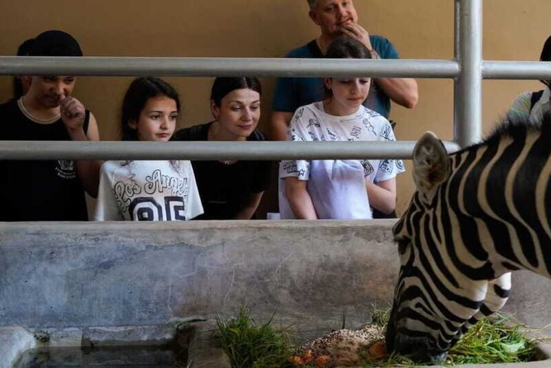 Bali Zoo: Behind Closed Doors Afternoon Safari Guided Tour - Final Thoughts