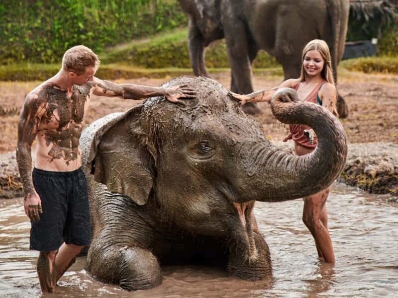 Bali Zoo: Guided Ethical Elephant Care Experience - Key Points