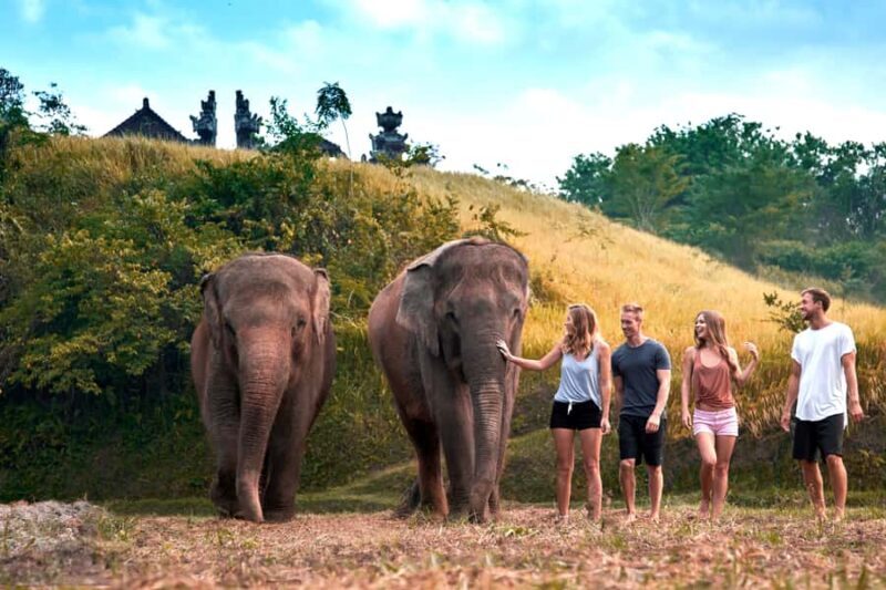 Bali Zoo: Guided Ethical Elephant Care Experience - An Honest Look at the Bali Zoo Elephant Experience