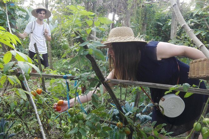 Balinese Cooking Class at Organic Farm - The Sum Up