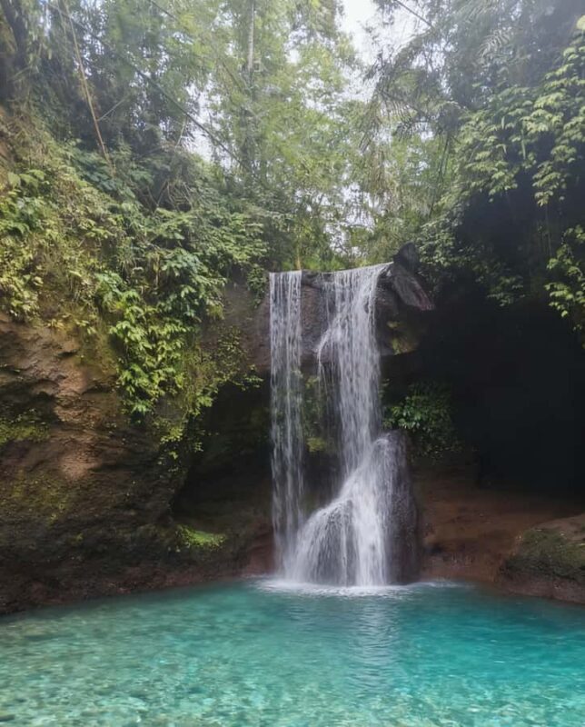 Balinese Holy Water Ritual with Nature Serenity - Key Points