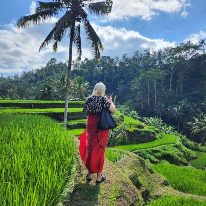 Balinese Purification at holy water temple with Local - The Scenic Beauty of the Temple Area