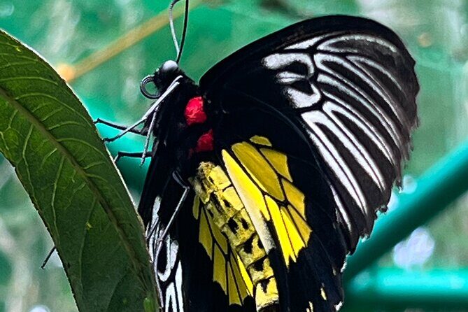 Balinsasayao Twin Lakes Half Day Tour | Tours in English - Why This Tour Offers Good Value