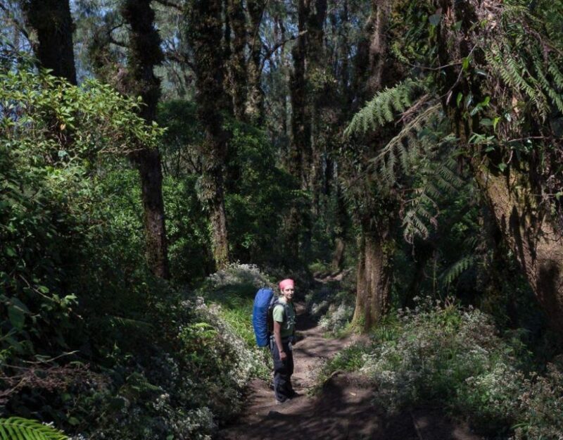 Bali's Mount Abang Expedition: Guided Hike - FAQ