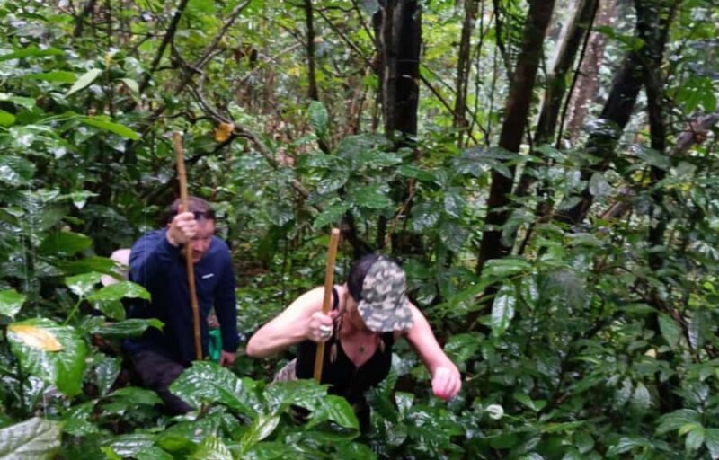 Balis Mystical Jungle Trek & Hidden Waterfall Adventure - In The Sum Up: Who Will Love This Tour?