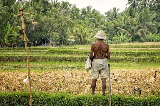 Balis Spiritual and Natural Heartlands - An In-Depth Look at the Tour’s Itinerary