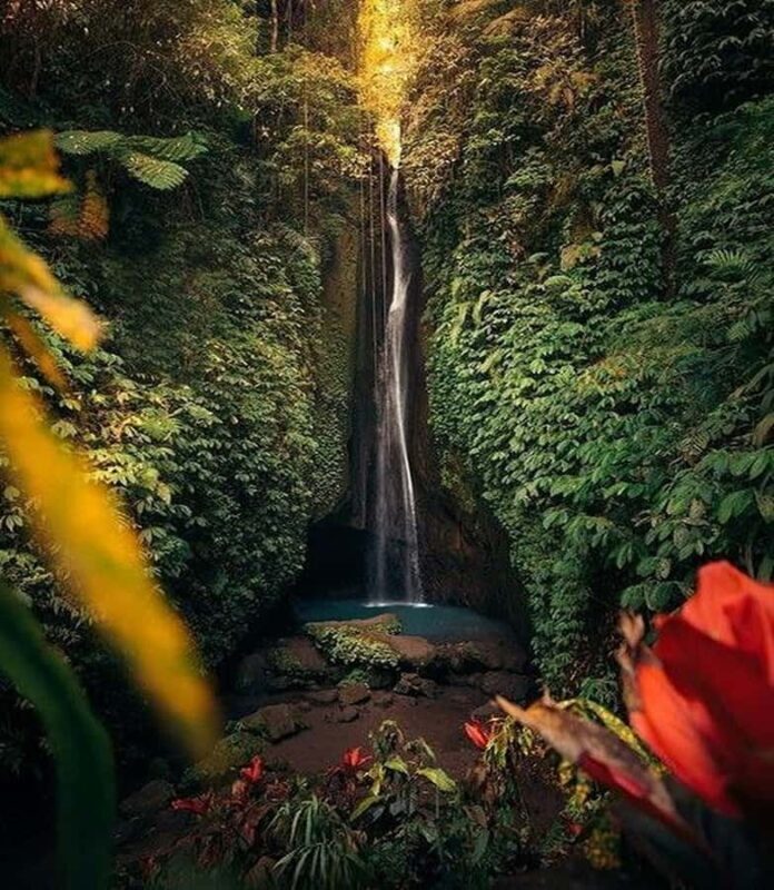 Bali:Ulun Danu, Waterfalls, Handara Gate, Cofee Planta Tour - Key Points