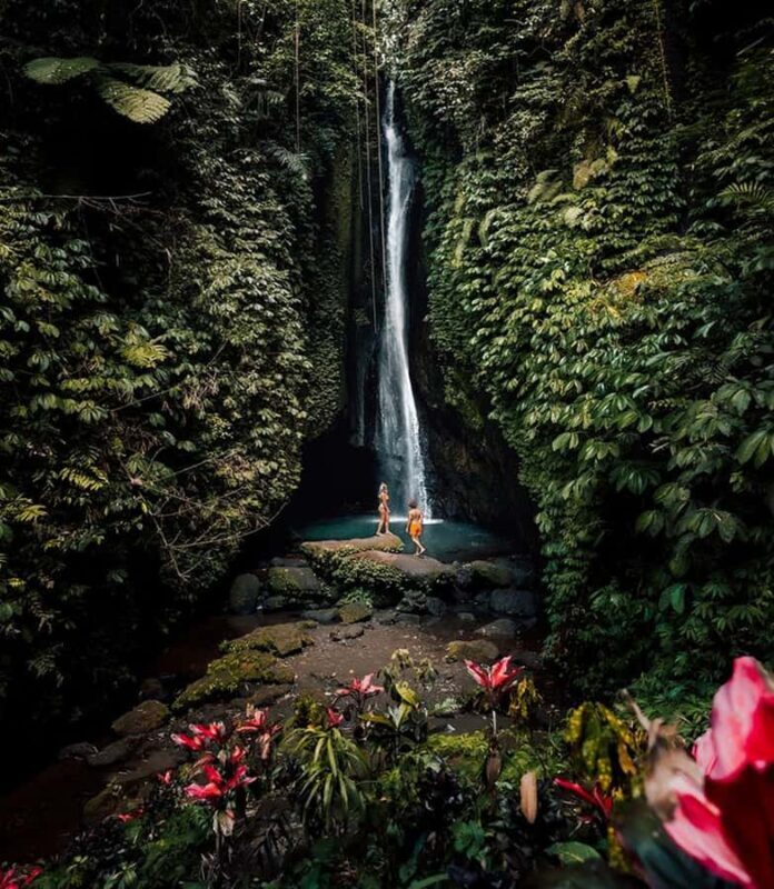 Bali:Ulun Danu, Waterfalls, Handara Gate, Cofee Planta Tour - Coffee Plantation: Savoring Bali’s Flavors