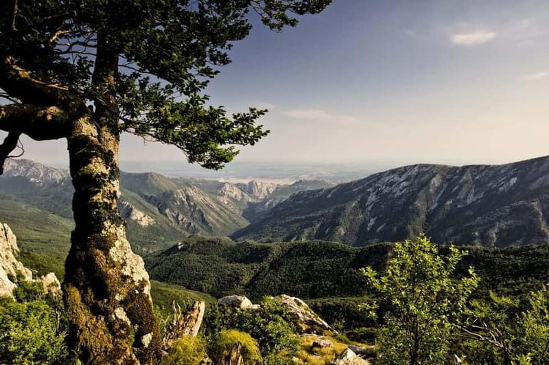 Balkans - Romania: 12-Days Motorcycle Tour 16.08. - 28.08.26 - An Authentic Balkan Adventure