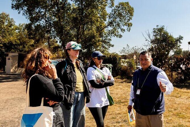 Balloon Flight Over Teotihuacan Valley with Transportation - The Real Value of the Experience