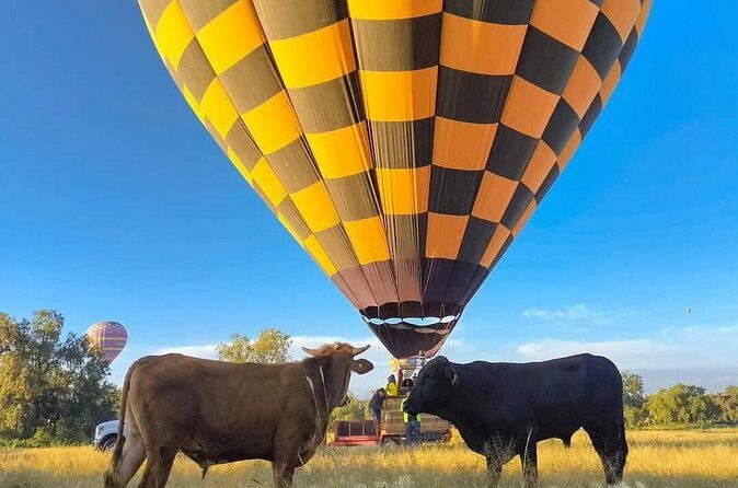 Balloon Flight over Teotihuacan with Breakfast in Cueva - Breakfast in a Cave: A Unique Dining Experience