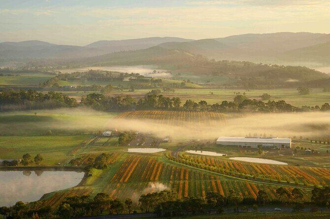Ballooning in Yarra Valley with Breakfast - Who Will Love This Tour?