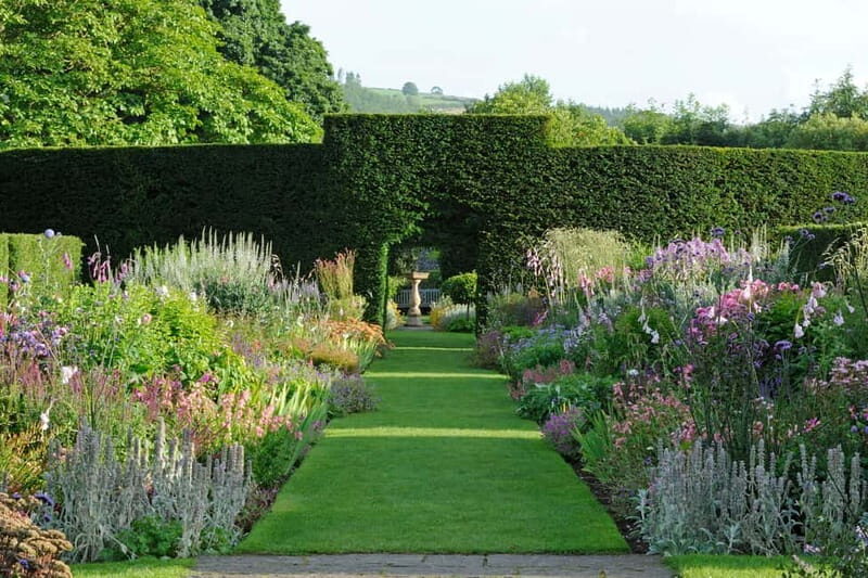 Ballymena: Walled Garden and Woodland Walk Entry Ticket - An In-Depth Look at the Walled Garden and Woodland Walk Experience