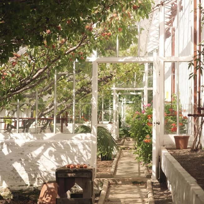 Ballymena: Walled Garden and Woodland Walk Entry Ticket - Final Thoughts