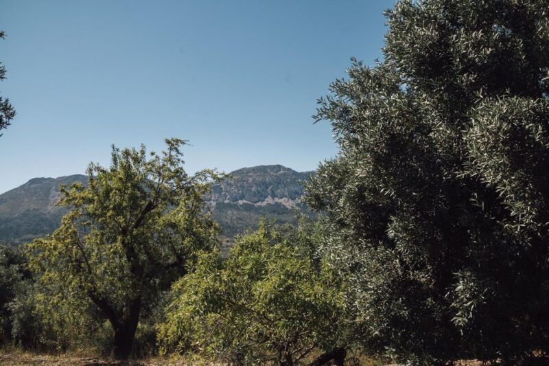 Balones: Guided tour & Tasting - FAQ