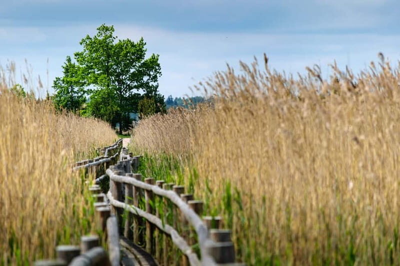 Baltic Sea Coastal Scenery and Cape Kolka From Riga - Who Will Love This Tour?