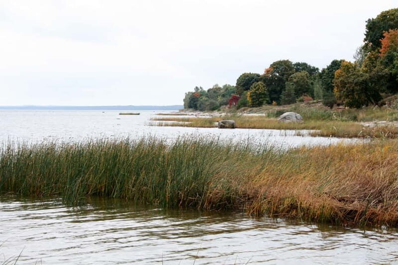 Baltic Sea Coastal Scenery and Cape Kolka From Riga - The Sum Up
