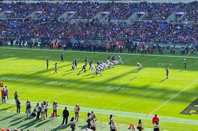 Baltimore Ravens Football Game Ticket at M&T Bank Stadium - Practical Details: What You Need to Know