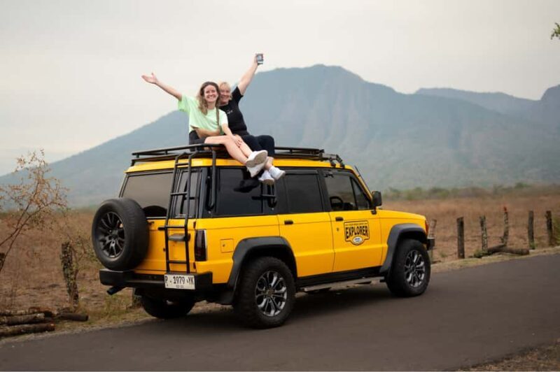 Baluran National Park Jeep Tour With Experienced Guide - An In-Depth Look at the Baluran Experience