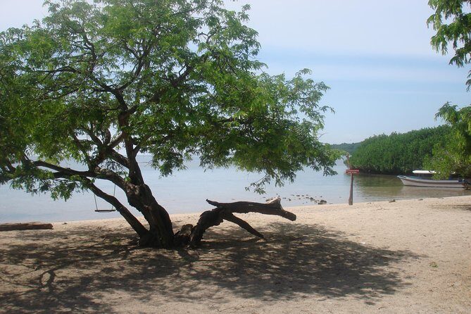 Baluran Trip - Practical Details & What to Expect