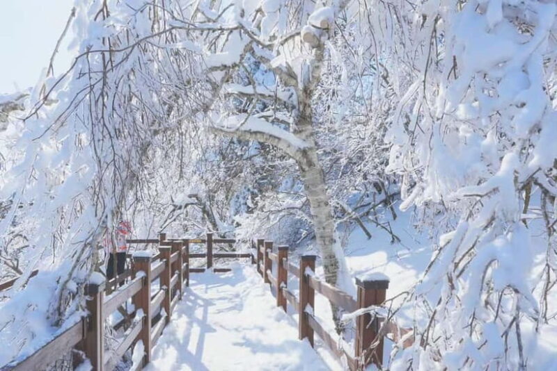 Balwangsan Cable Car & Samyang Ranch One Day Tour - Final Thoughts