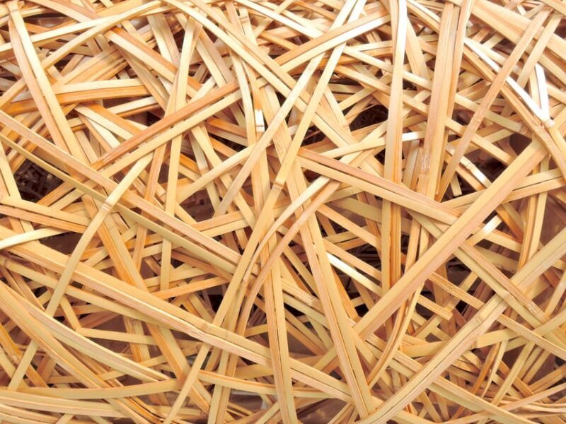 Bamboo Artistry & Zen Serenity: Tranquility with Ginkaku-ji - Practical Considerations