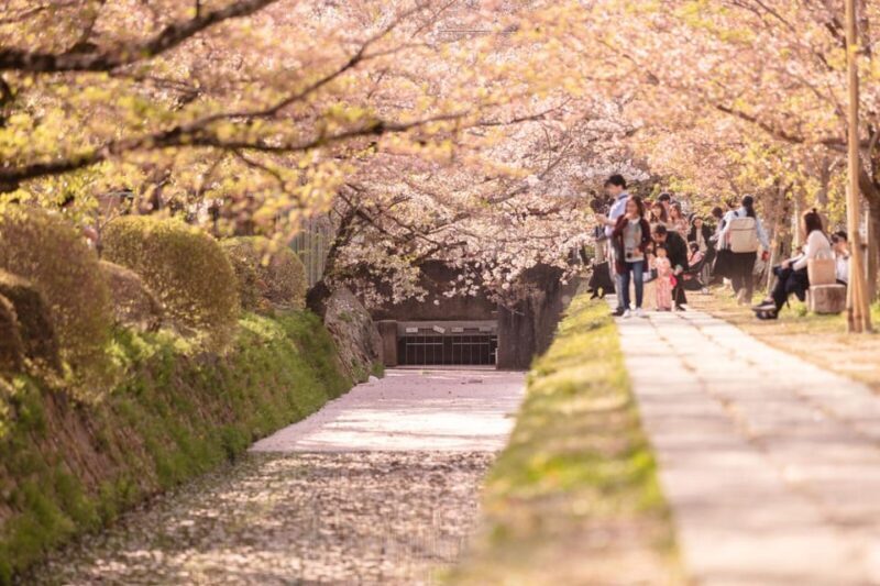 Bamboo Artistry & Zen Serenity: Tranquility with Ginkaku-ji - Who Will Love This Tour?