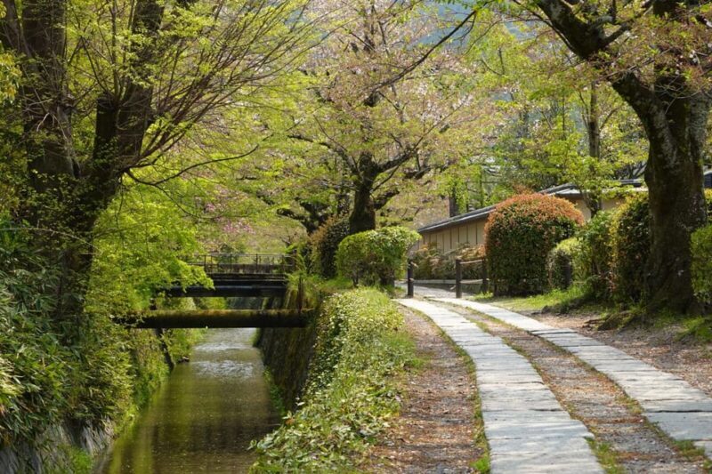 Bamboo Artistry & Zen Serenity: Tranquility with Ginkaku-ji - Final Thoughts