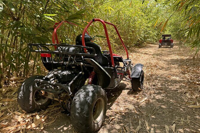Bamboo Dune Buggy Tour - What Makes the Bamboo Dune Buggy Tour Unique?