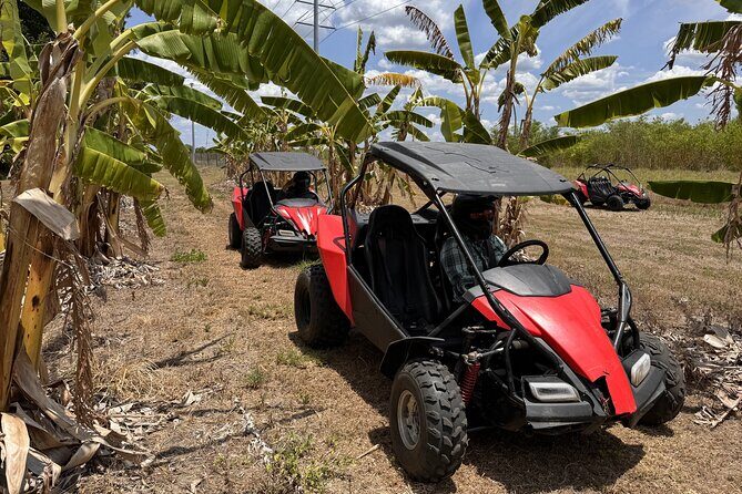 Bamboo Dune Buggy Tour - Practical Details and Tips