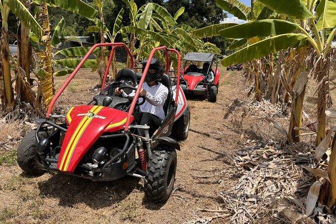 Bamboo Dune Buggy Tour - The Sum Up: Who Should Consider This Tour?