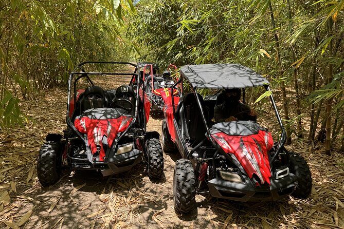 Bamboo Dune Buggy Tour - FAQ