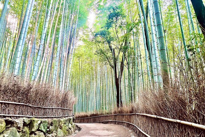 Bamboo Grove Temple and Garden Views Tour - Exploring Kyoto’s Arashiyama: What the Tour Covers