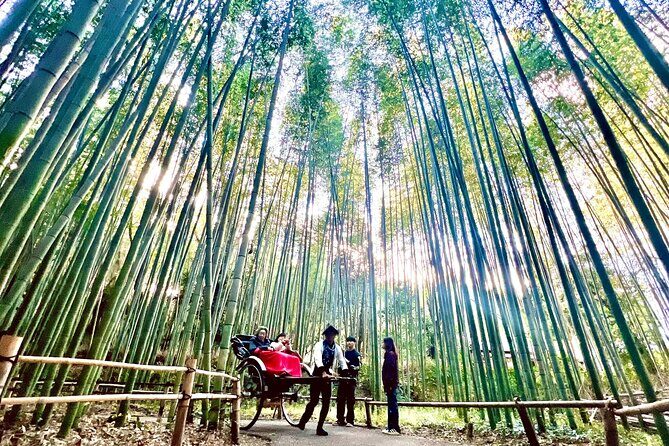 Bamboo Grove Temple and Garden Views Tour - Why This Tour Offers Great Value