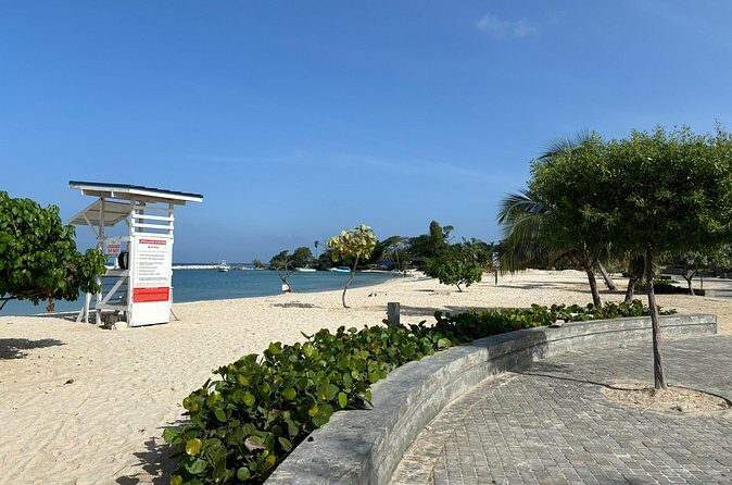 Bamboo Rafting Adventure and Montego Bay Highlights - Pricing and Value