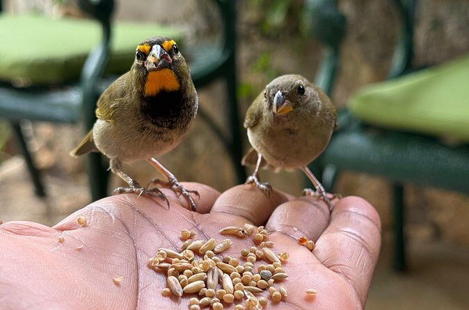 Bamboo rafting and bird sanctuary tour from Montegobay - Final Thoughts